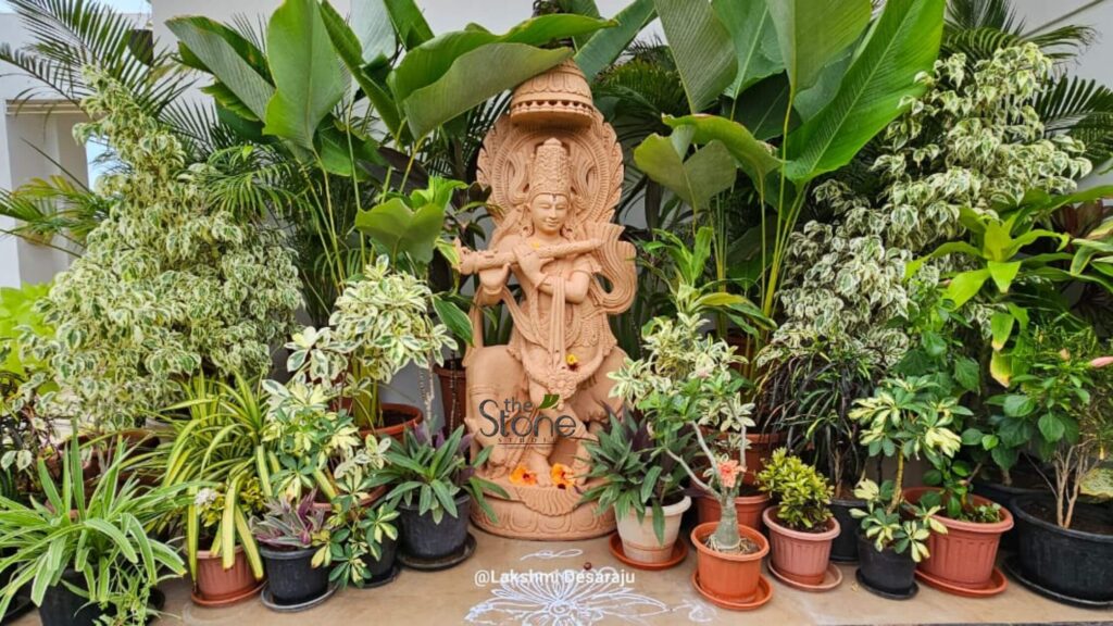 The Stone Studio's Placement Stories! - The Stone Studio