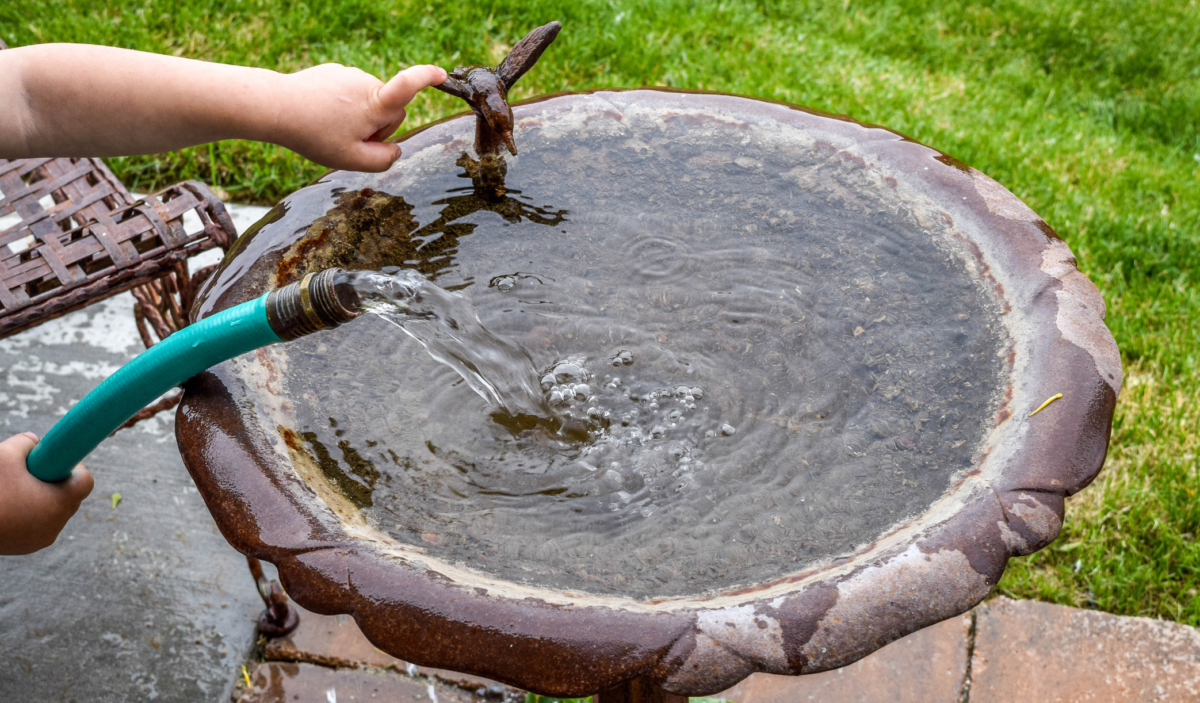 How to Install a Birdbath: 5 Best Tips - The Stone Studio