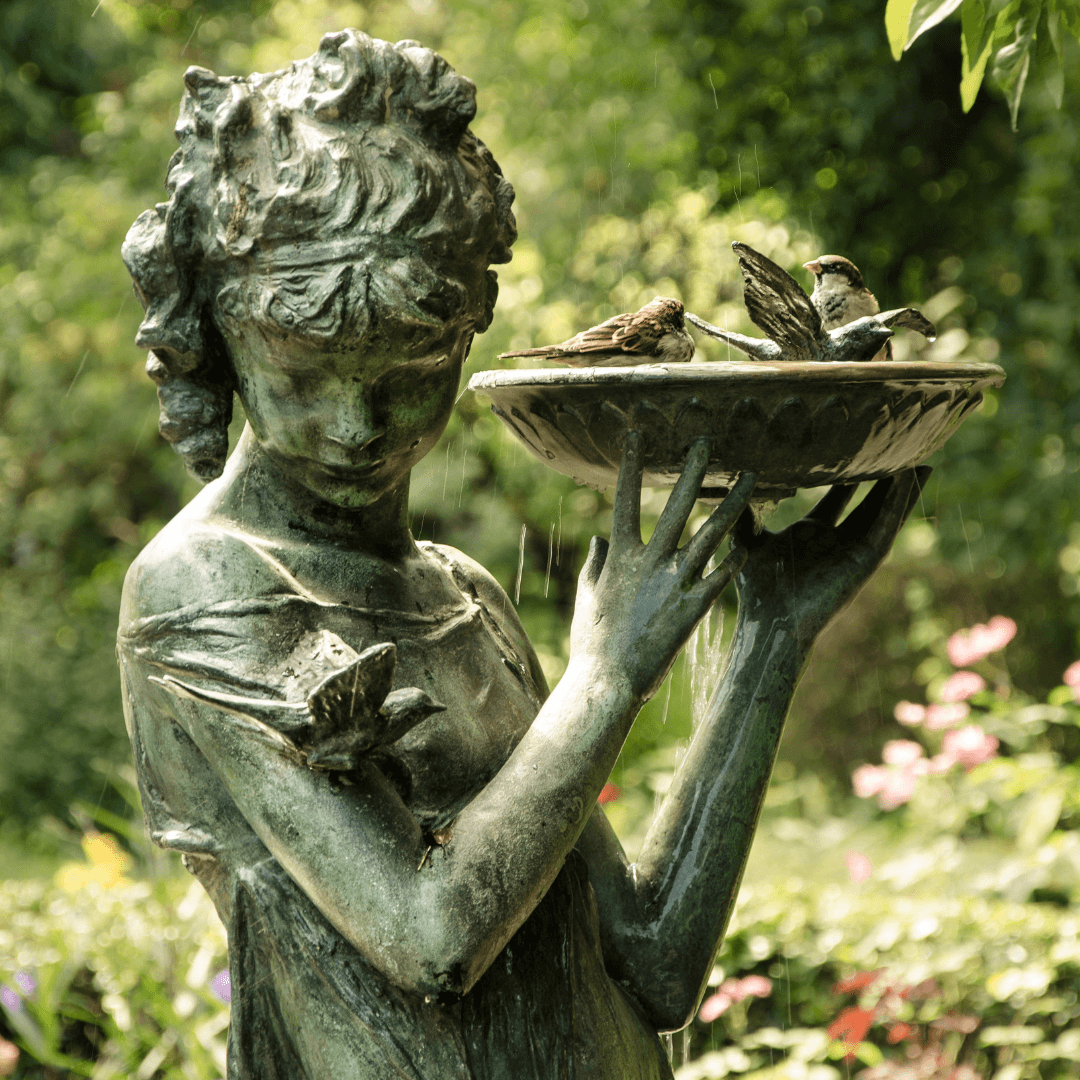 Bird Bath Ideas: 5 Best & Unique Choices - The Stone Studio