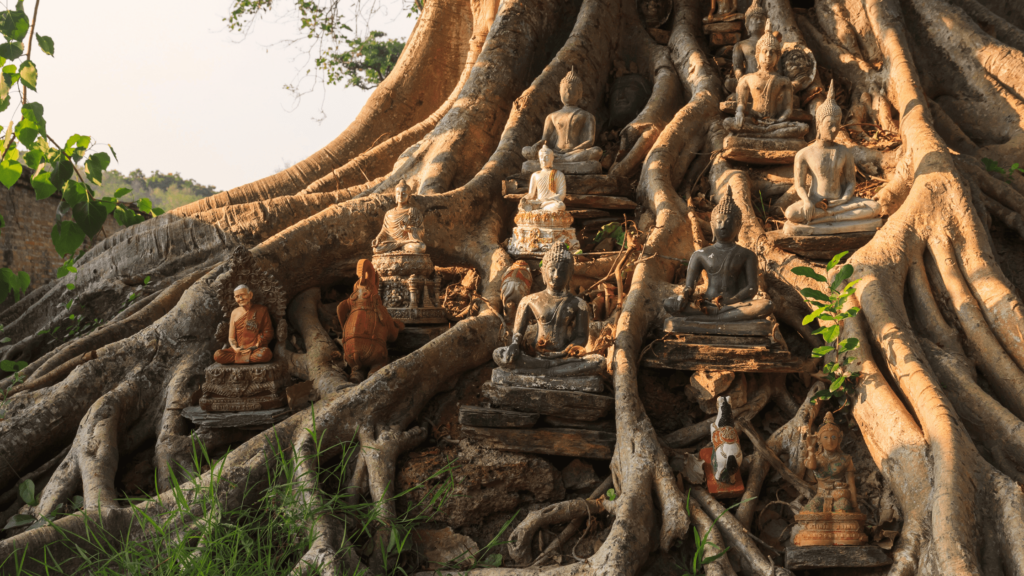 Relics of Buddha: 3 Types & Significance - The Stone Studio