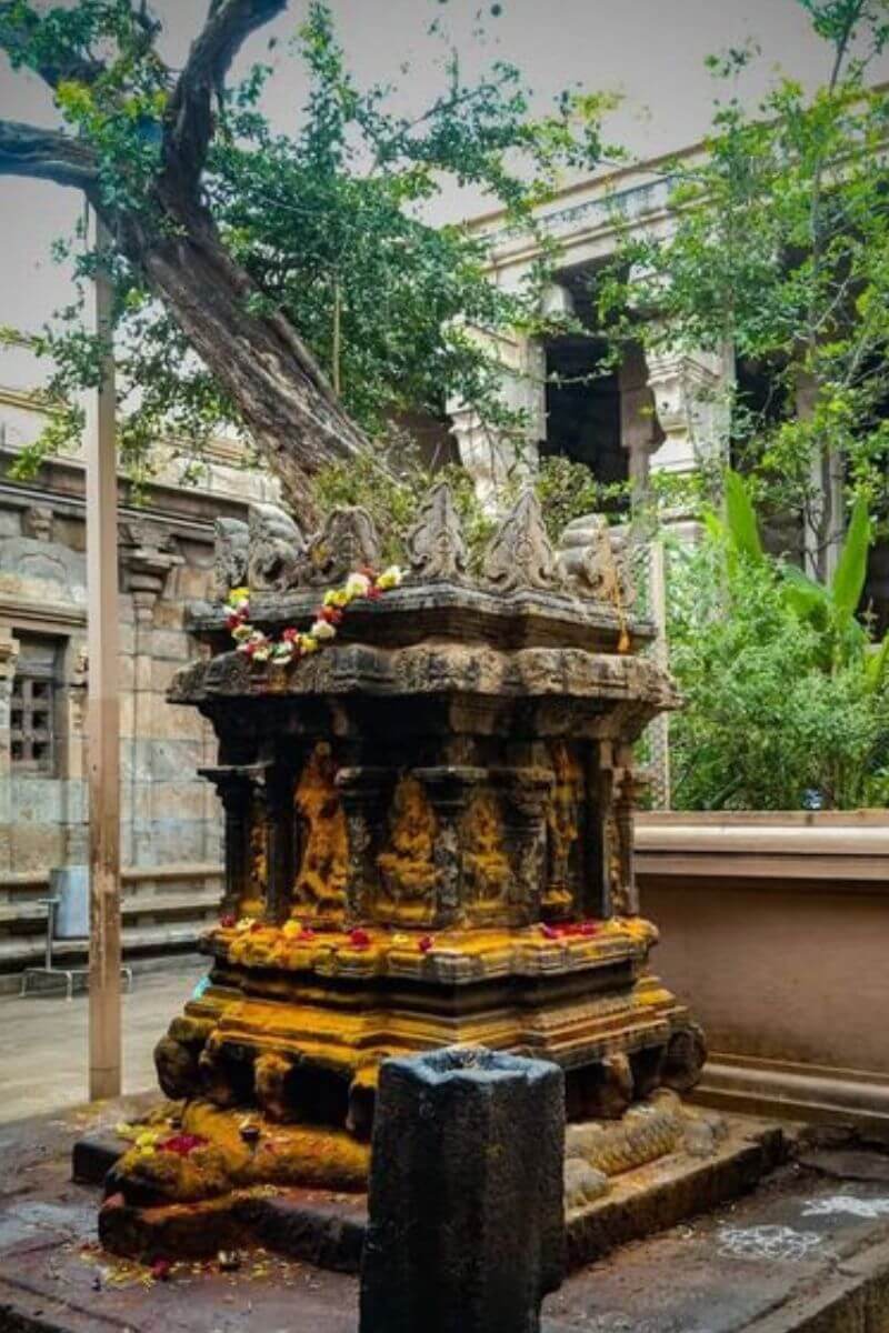 Tulsi Devi Significance - The Stone Studio