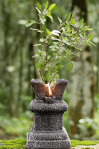 Tulsi Devi Significance - The Stone Studio