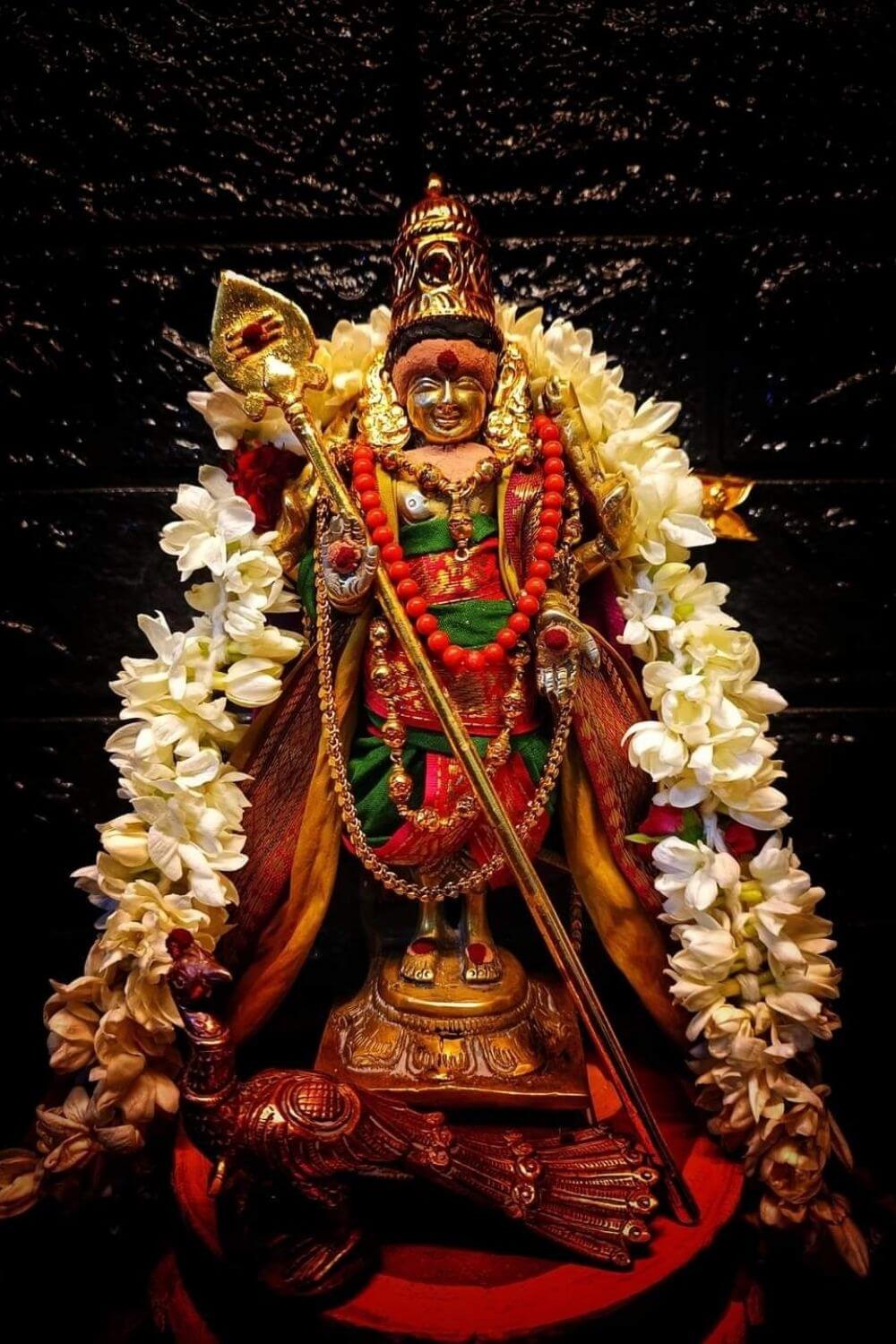 The 16 Forms of Lord Murugan - The Stone Studio