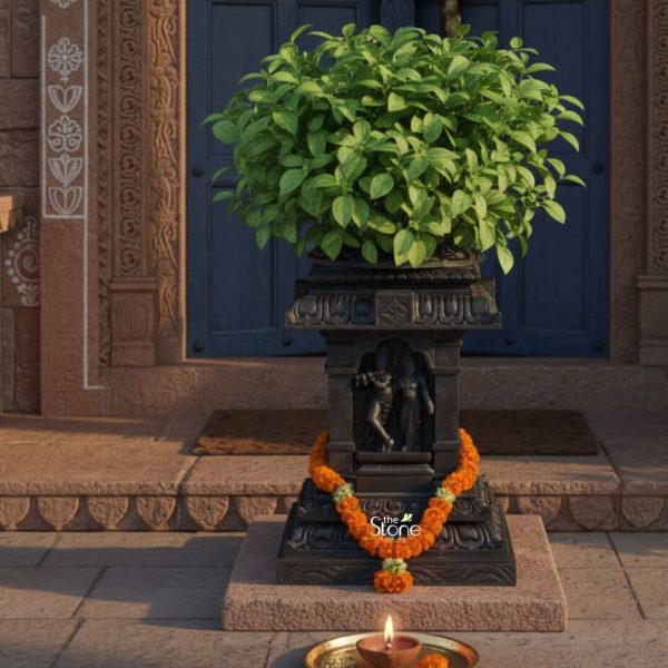 Why Keep a Tulsi Plant with an Idol? - The Stone Studio
