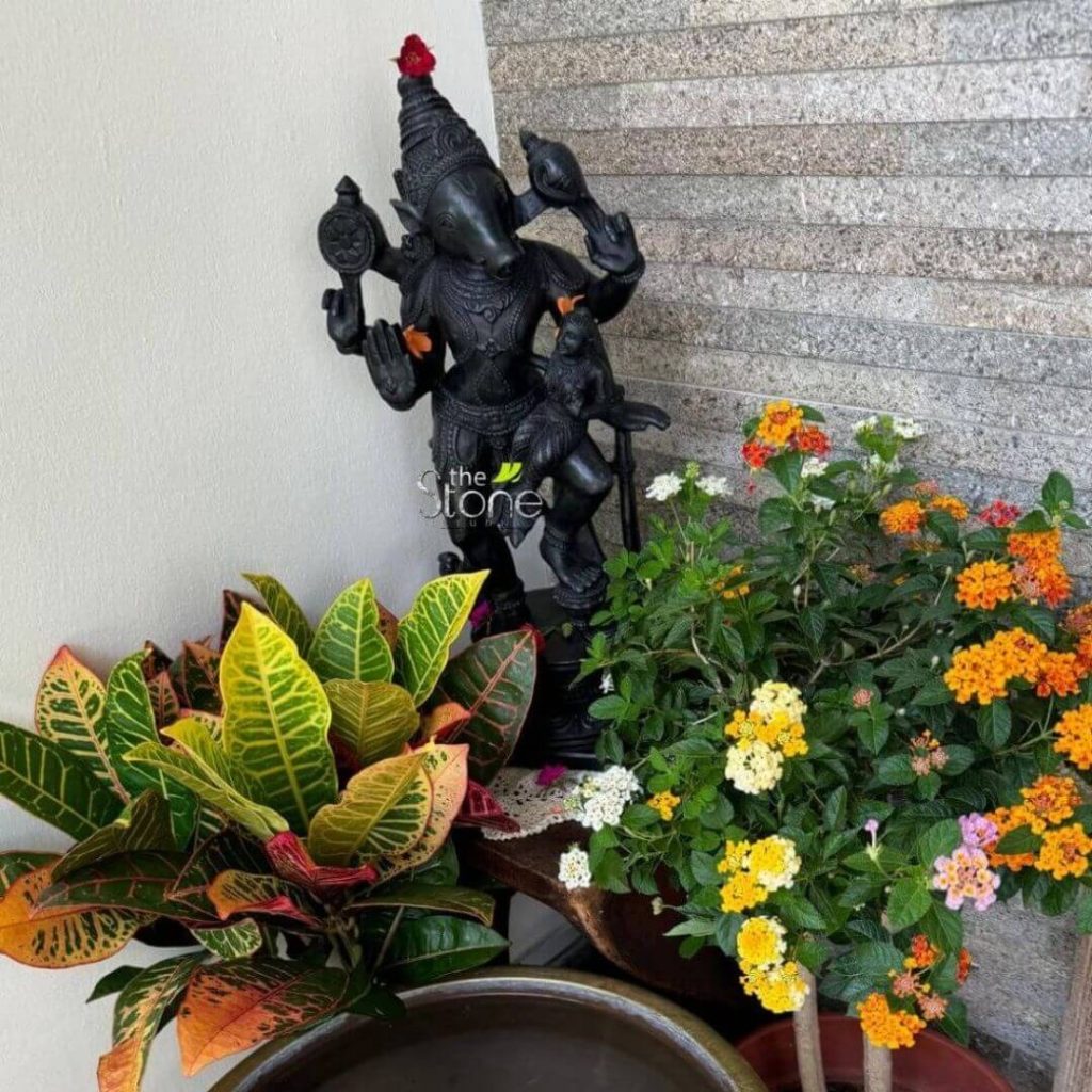 Buy Best Lord Baraha Statue in Singapore - The Stone Studio